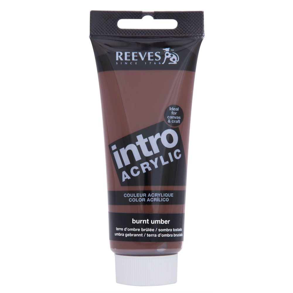 Reeves Intro Acrylic Colour 120ML (Burnt Umber)